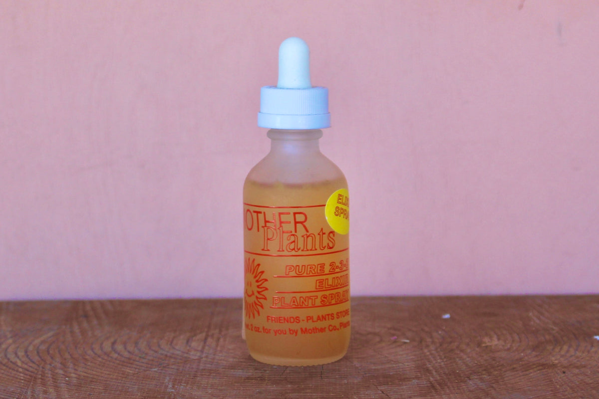 Mother Plants Elixir – Solabee Flowers & Botanicals